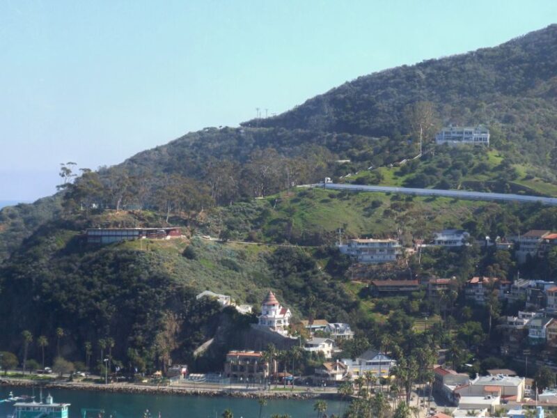 Avalon, Catalina Island: 2-Hour Inside Adventure Tour - Who Would Love This Tour?