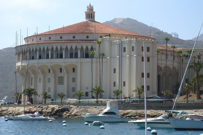 Avalon City: A Self-Guided Audio Tour - What Travelers Say: Authentic Feedback