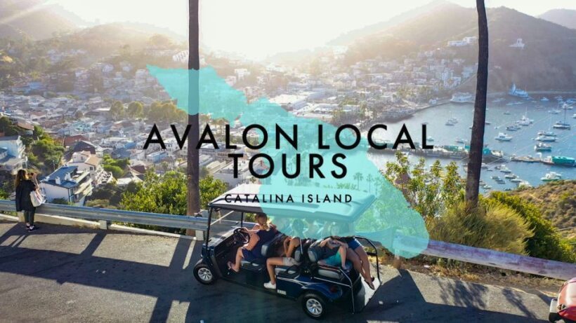 Avalon: Private Golf Cart Tour with Driver-Guide - The Value of a Private, Guided Experience