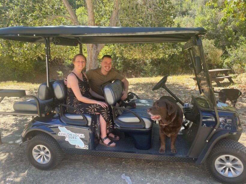 Avalon: Private Golf Cart Tour with Driver-Guide - Comfort, Convenience, and Practical Tips