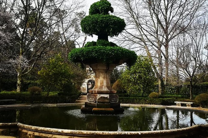 Aveiro and Coimbra Private Tour From Porto - Tour Itinerary and Highlights