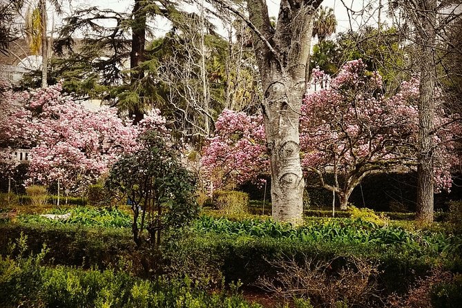 Aveiro and Coimbra Private Tour From Porto - Important Considerations for Your Tour