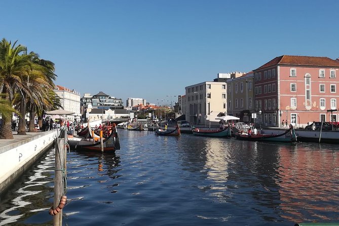 Aveiro and Coimbra Small Group Tour With River Cruise From Porto - Feedback and Recommendations