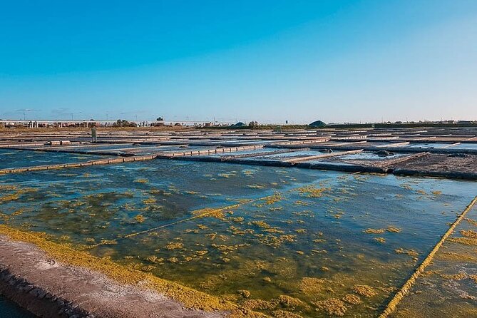 AVEIRO AND NEW COSTA: Private Full-Day Tour from Porto - FAQ