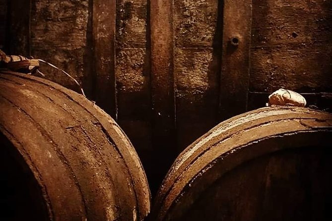 Aveiro Bike Rental - 5/8 Hours - Bike Rental Options