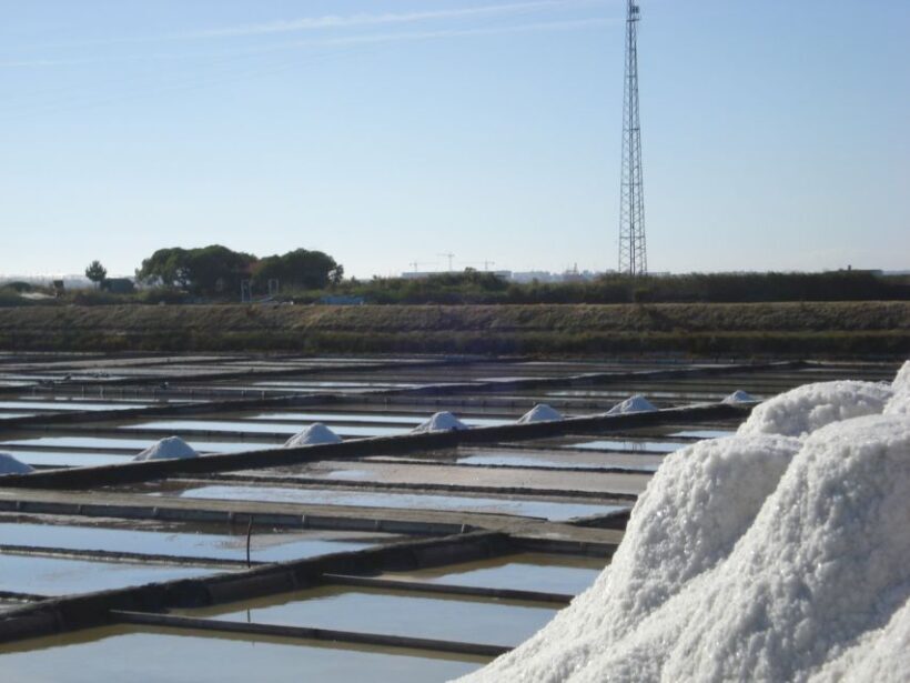 Aveiro: Boat Cruise and City Walking Tour with Sweet Tasting - Who Will Love This Experience?
