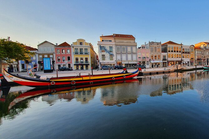 Aveiro Canal Cruise in Traditional Moliceiro Boat - Highlights From Customer Feedback