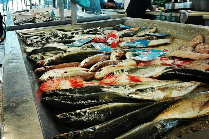 Aveiro, Costa Nova Beach and Moliceiro Boat, Half-Day From Coimbra - Itinerary Highlights