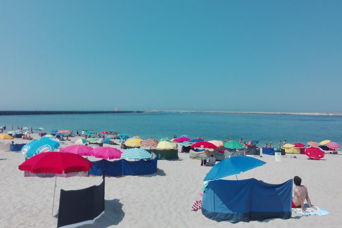 Aveiro, Costa Nova Beach and Moliceiro Boat, Half-Day From Coimbra - Exploring Aveiro and Costa Nova