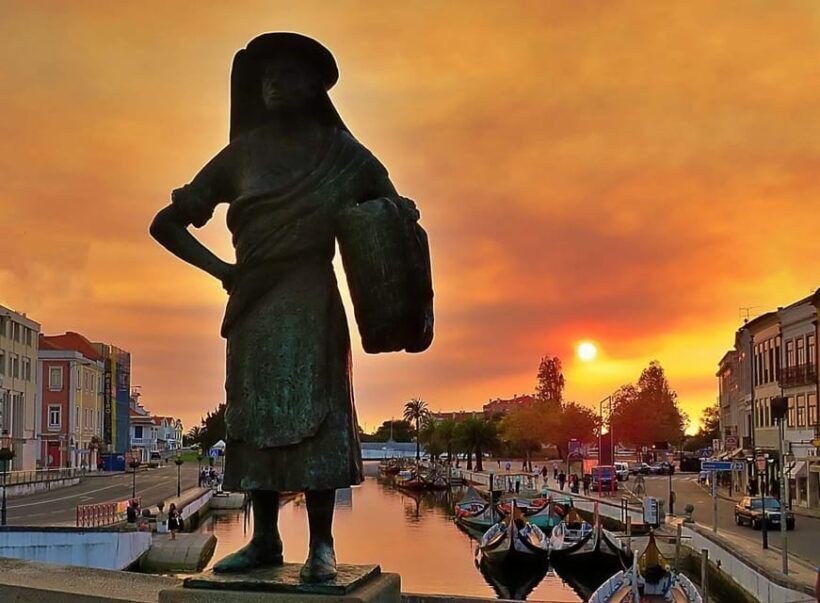 AVEIRO E COSTA NOVA: Private Full-Day Tour w/Boat from Porto - Key Points