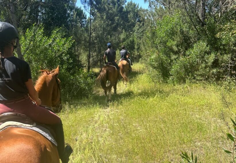 Aveiro: Horse Riding Experience with Instructor - What to Expect from the Aveiro Horse Riding Tour