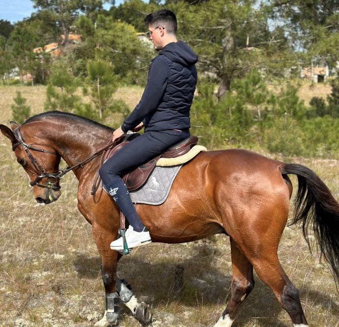 Aveiro: Horse Riding Experience with Instructor - The Sum Up: Who Is This Tour Best For?