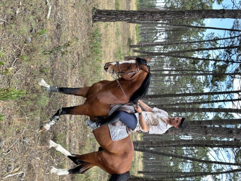Aveiro: Horse Riding Experience with Instructor - FAQ