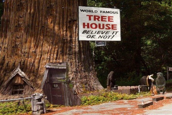 Avenue of the Giants Redwoods private 2-day tour +1 night hotel - An Overview of What to Expect