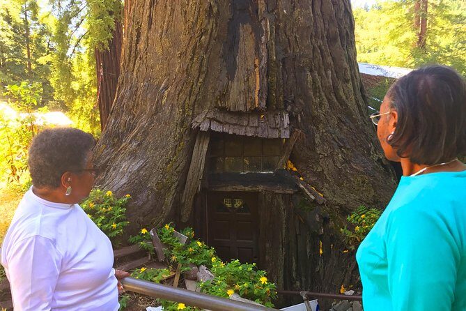 Avenue of the Giants Redwoods private 2-day tour +1 night hotel - Final Thoughts