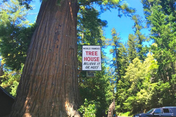 Avenue of the Giants Redwoods private 2-day tour +1 night hotel - FAQs