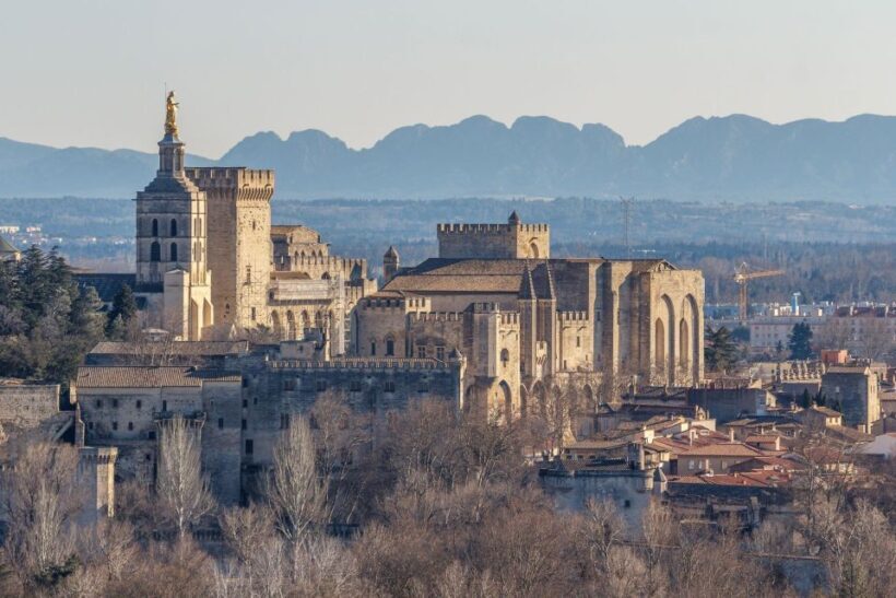 Avignon City of Popes and Wine Tasting Private Full Day Tour - The Practicalities: What to Know