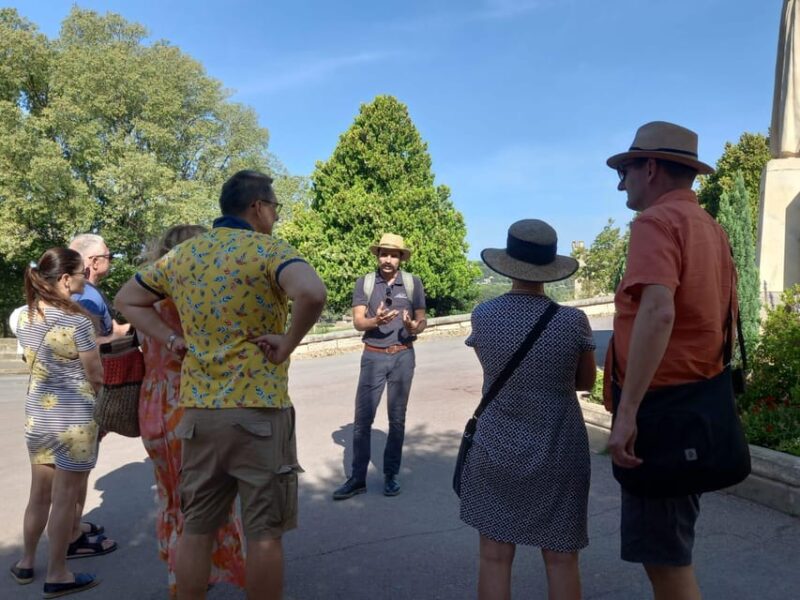 Avignon: City Walking Tour with Popes Palace Entry - Who Will Love This Tour?