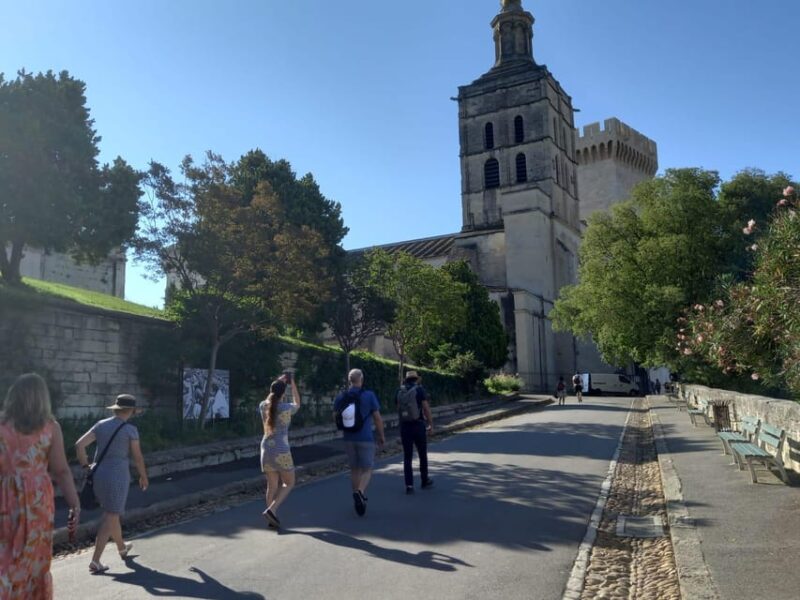 Avignon: City Walking Tour with Popes Palace Entry - Final Thoughts