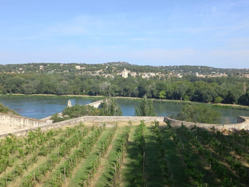 Avignon: City Walking Tour with Popes Palace Entry - FAQs