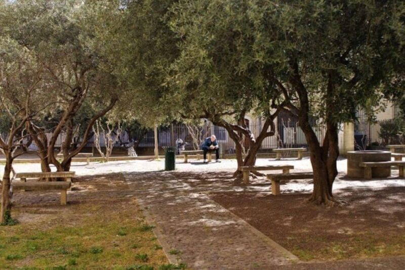 Avignon: Emblematic Squares Tour - Who Will Love This Tour?