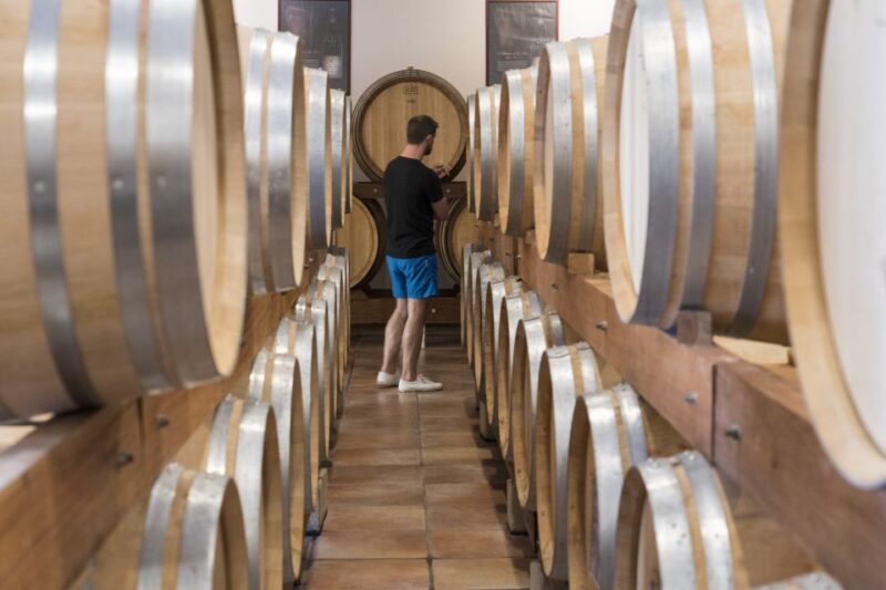 Avignon : Full-Day Châteauneuf du Pape wines & Luberon Tour - Authentic Reviews and What They Reveal