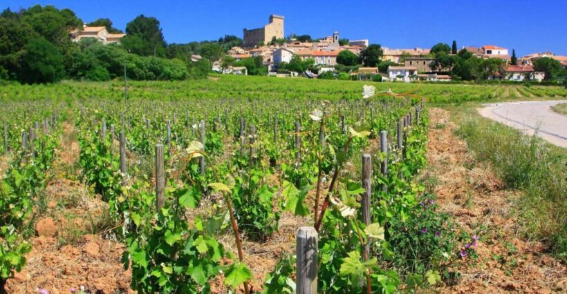 Avignon: Full-Day Wine Tour around Châteauneuf-du-Pape - Key Points