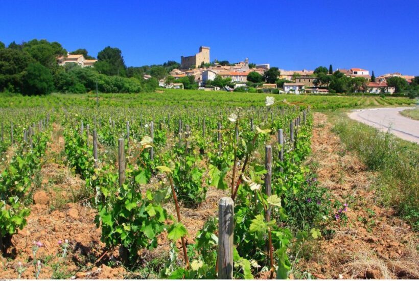 Avignon: Full-Day Wine Tour around Châteauneuf-du-Pape - Price and Value Analysis