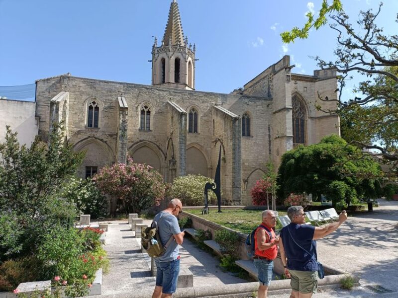 Avignon : Half-Day Walking Tour with Private Guide - Key Points