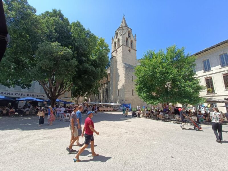 Avignon : Half-Day Walking Tour with Private Guide - The Itinerary in Detail