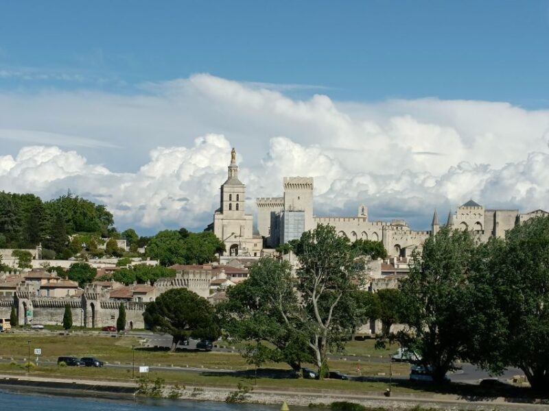 Avignon : Half-Day Walking Tour with Private Guide - Practical Details: What You Need to Know