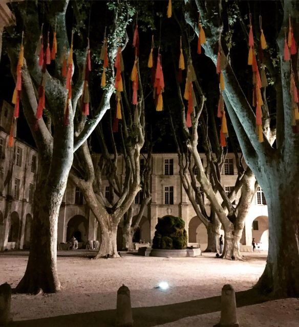 Avignon: La Noctambule du Pape Night Tour - What To Expect on the Tour