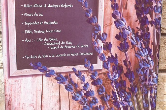 Avignon, Les Baux, St Remy and Arles From MARSEILLE - Guide Performance and Recommendations