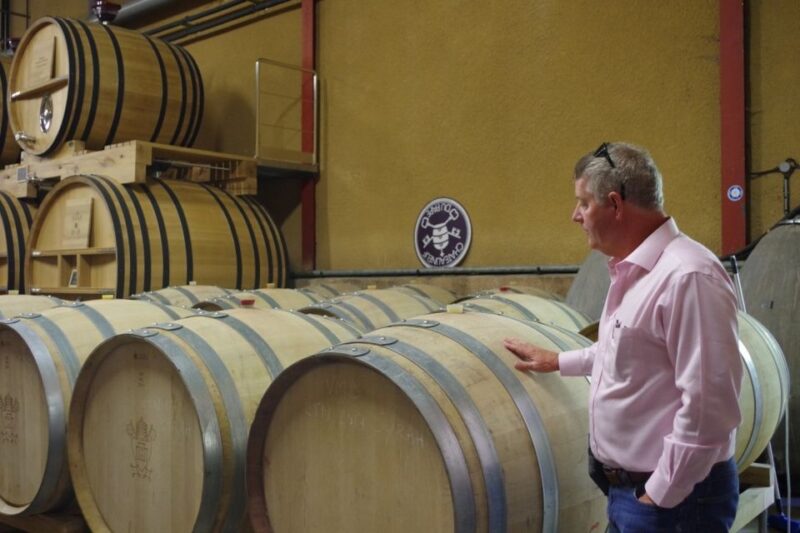 Avignon: Wine Tasting Tour - Who Should Consider This Tour?