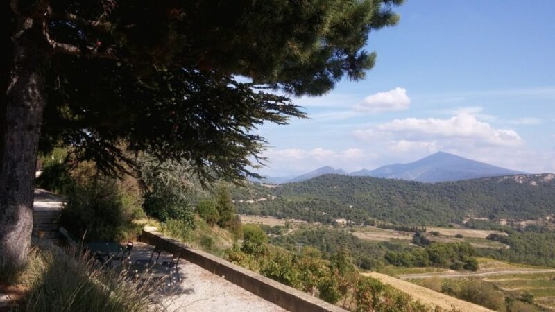 Avignon: Wine Tasting Tour - Final Thoughts