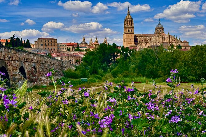 Avila and Salamanca: a Day Between History and Walls From Madrid - Exploring Salamanca