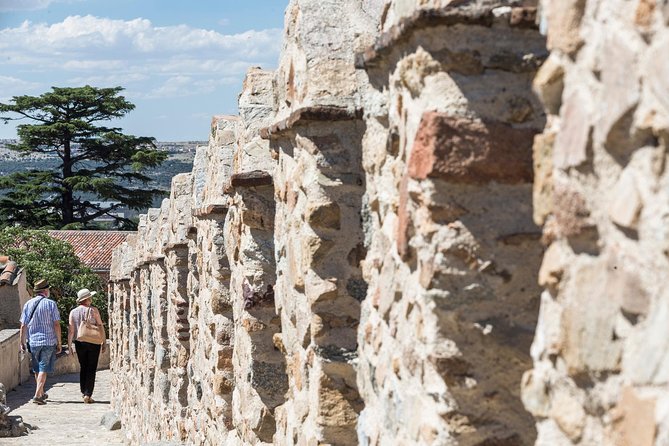 Avila With Walls & Segovia With Alcazar From Madrid - Admiring Segovia Cathedral