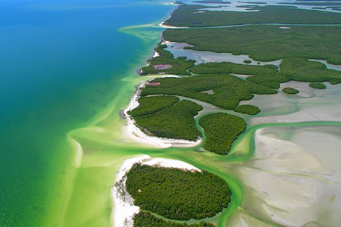 Avi's Premium Dolphin Tour by Jet Ski - FAQ