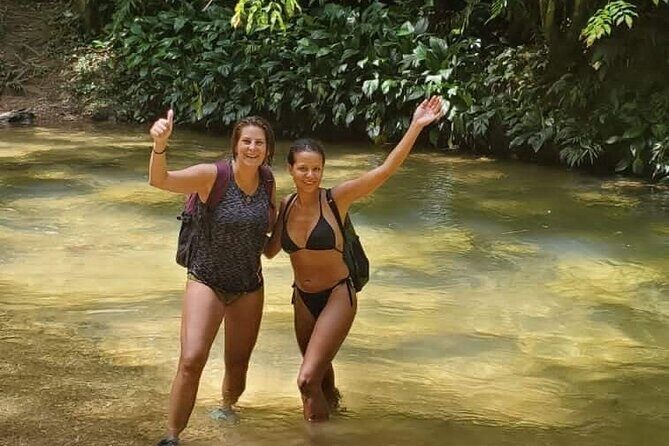 Avocat Waterfall and Beach Tour - A Closer Look at the Experience