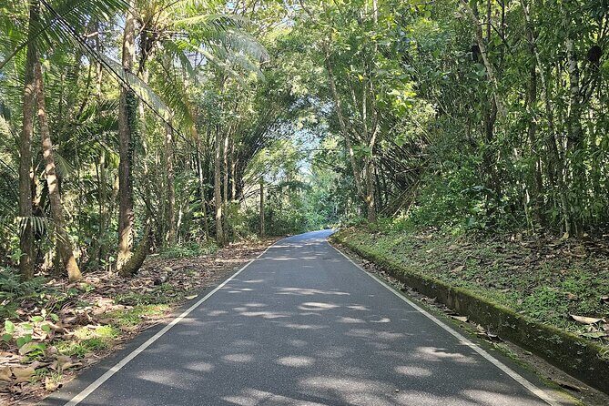 Avocat Waterfall and Maracas Bay, The Way Trinis Do It - Authentic Experiences and What Travelers Say