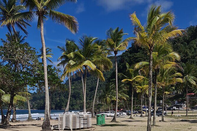 Avocat Waterfall Tour & Beach Stop Adventure - The Sum Up