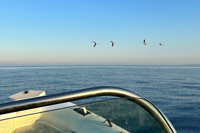 Avola: Group Boat Tour Vendicari Capopassero and Aperitif - The Sum Up