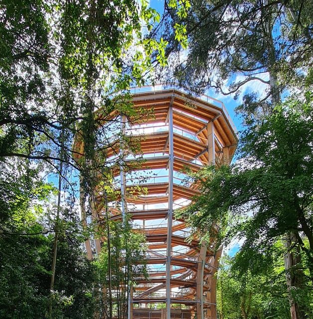 Avondale: Beyond the Trees Treetop Walk & Tower Entry Ticket - FAQ