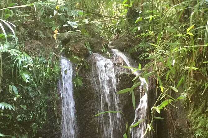 Award winning Paronella Park Day and Night Tour - The Sum Up: Who Should Book This Tour?