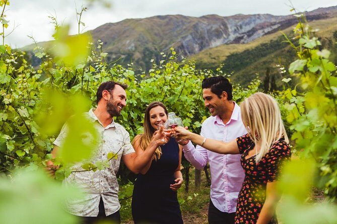 Award Winning Premium Wine Tour Queenstown Tasting at 4 Wineries - Key Points