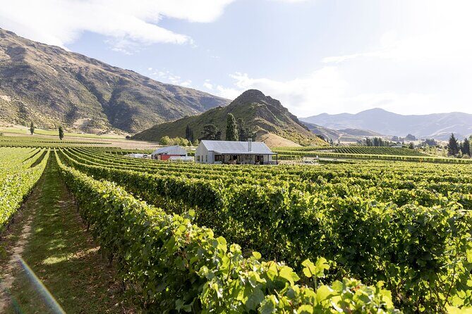 Award Winning Premium Wine Tour Queenstown Tasting at 4 Wineries - Who Would Love This Tour
