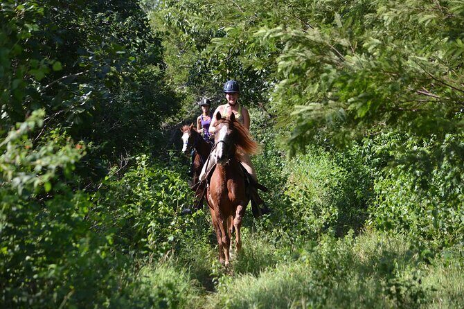 Award-winning Private Classic Horseback Ride - Tour Schedule and Duration