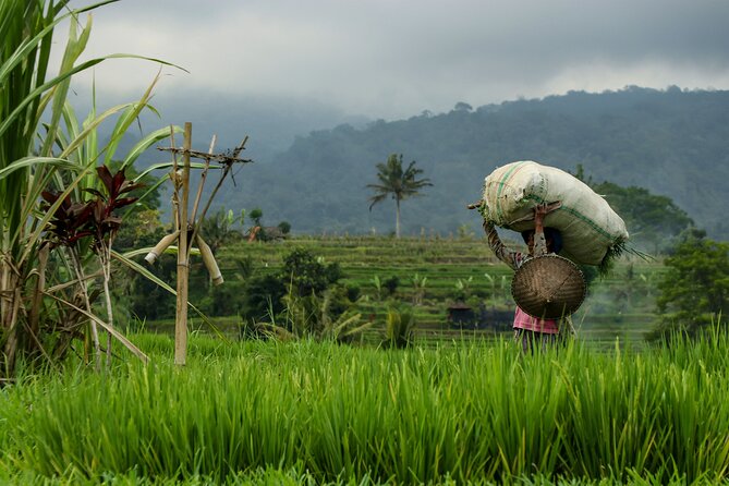 AWay From Home - Bali Village Tour - Authentic Experiences, Genuine Value