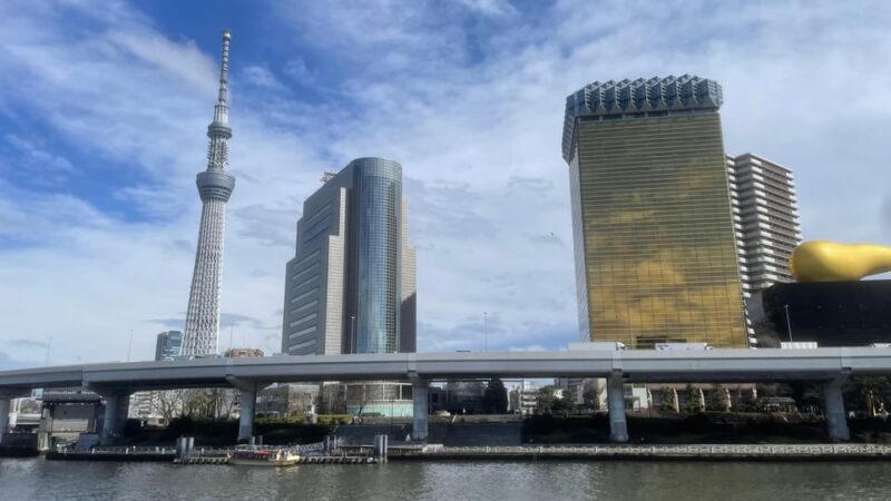 Awesome Private Tour: Tsukiji, Asakusa, Shinjuku, Shibuya - Customization and Flexibility