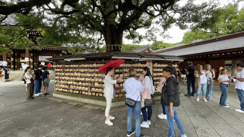 Awesome Private Tour: Tsukiji, Asakusa, Shinjuku, Shibuya - Iconic Locations